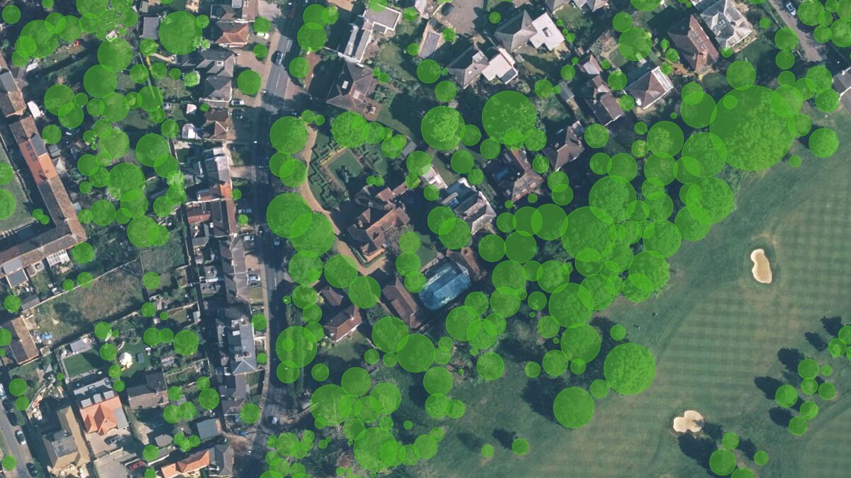 National Tree Map Archives - Bluesky