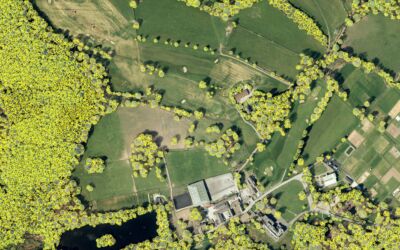 National Tree Map – Bluesky