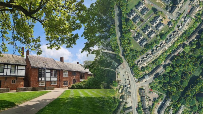 National Tree Map | Bluesky International Limited