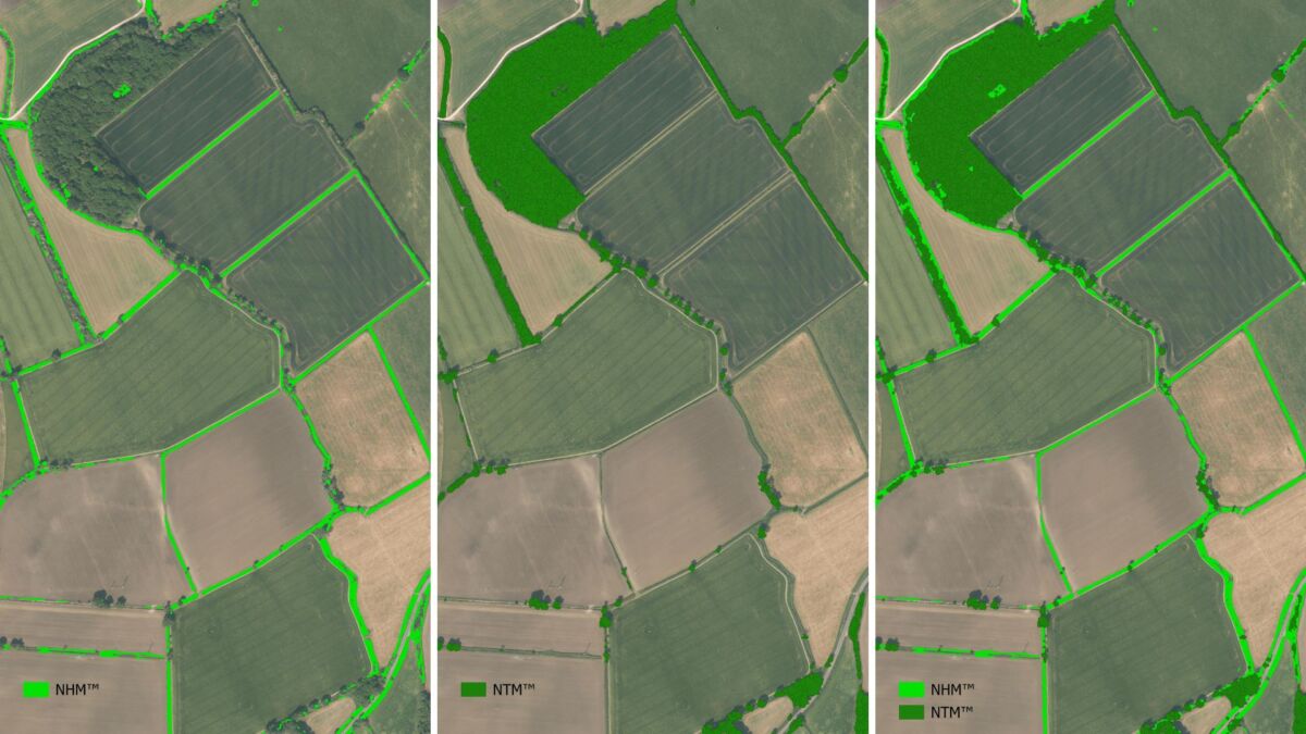 National Hedgerow Map | Bluesky International Limited