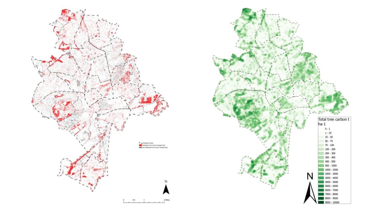 Bluesky International Aerial Imagery and Data Helps Crack Carbon ...